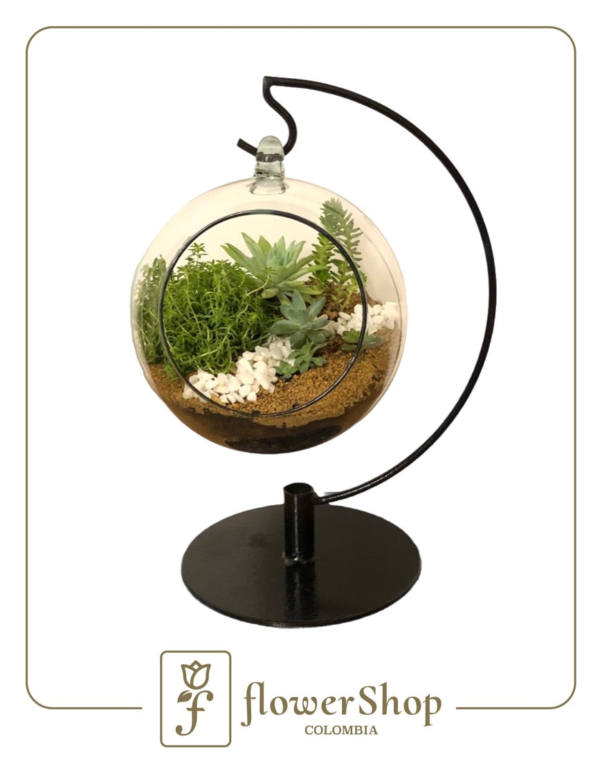 Plantas Vivas – Flower Shop Colombia